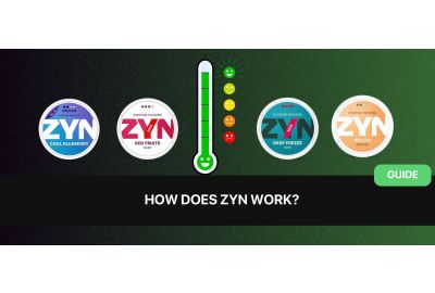 How does ZYN Work: Effects, Absorption & Benefits Explained