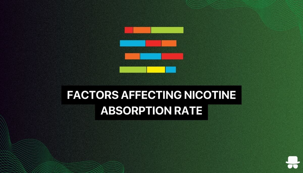 How Much Nicotine Do You Absorb from Nicotine Pouches?